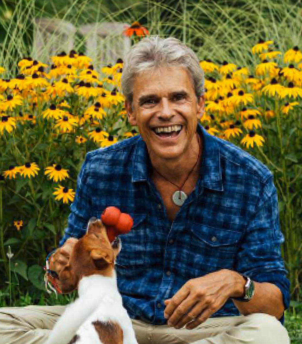 Die Knickerbocker-Bande | Thomas Brezina